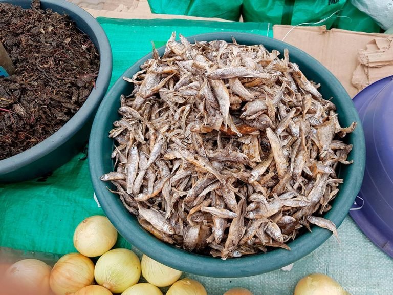 Mondesa Township Tours para ver a Namíbia autêntica » Por Ro Martins
