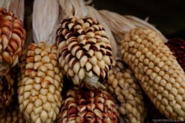 Comida peruana: delícias para provar no Peru e no Brasil